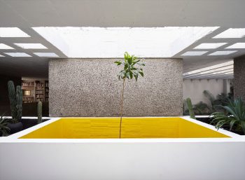 The Reyes House by Pedro Reyes and Carla Fernandez