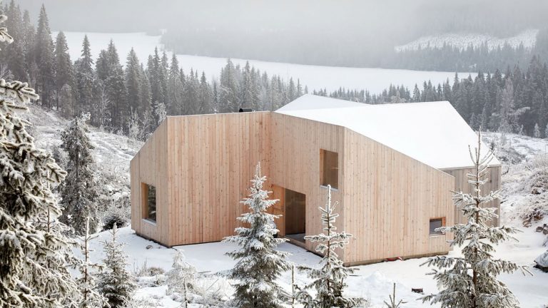 In The Woods | Tiny A-Frame House by Jay Lalka | Wowow Home Magazine