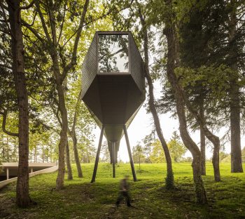 Tree Snake Houses by Rebelo de Andrade Architecture & Design