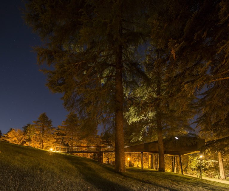 Tree Snake Houses by Rebelo de Andrade Architecture & Design