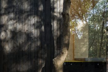 CBN – Cabin in the Wood by PLUS ULTRA studio | Wowow Home Magazine