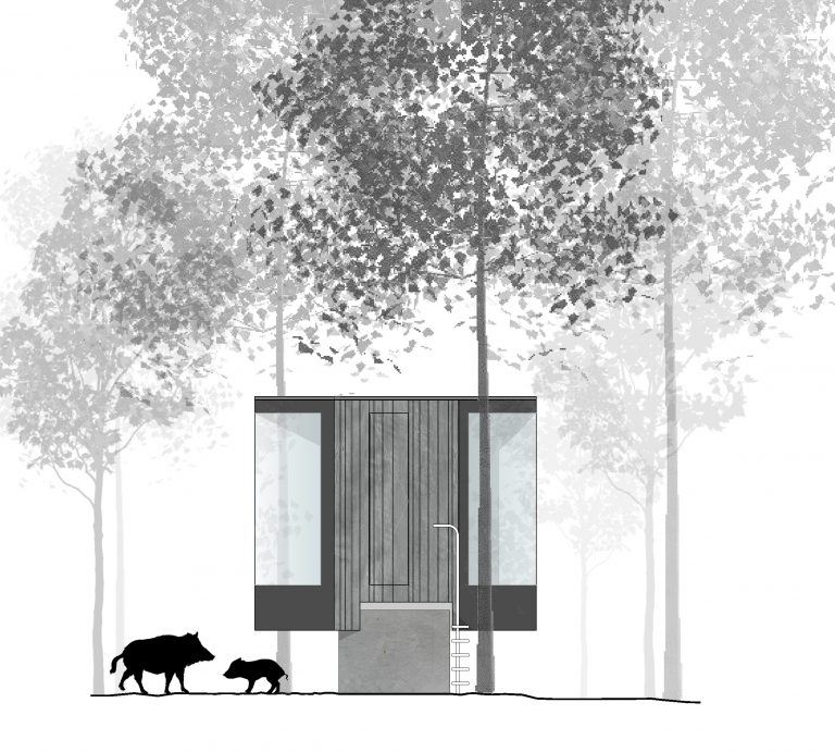CBN – Cabin in the Wood by PLUS ULTRA studio | Wowow Home Magazine