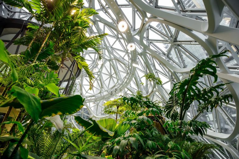 The Spheres in the New Amazon Headquarters | Wowow Home Magazine