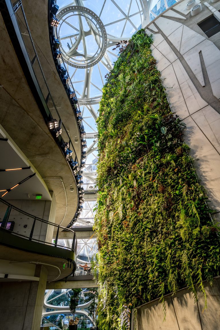 The Spheres in the New Amazon Headquarters | Wowow Home Magazine