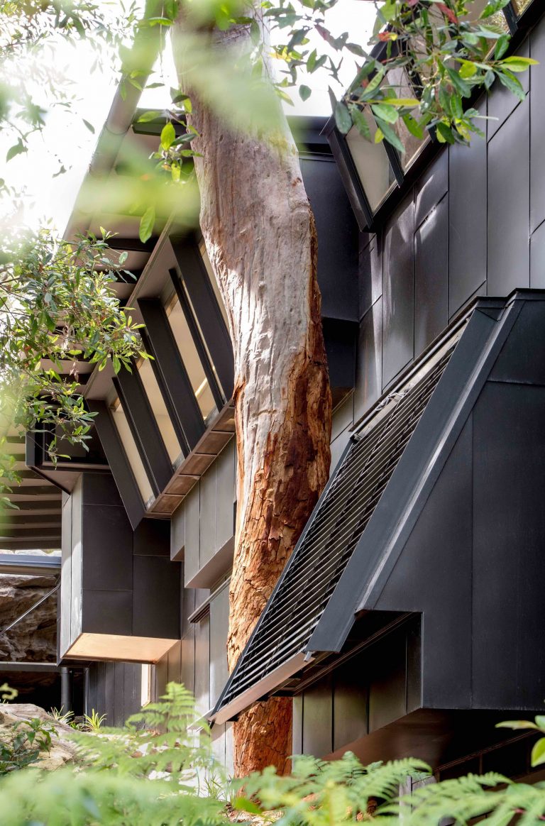 Donaldson House by Glenn Murcutt | Wowow Home Magazine