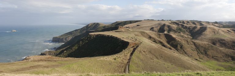 Parihoa House by Pattersons | Wowow Home Magazine