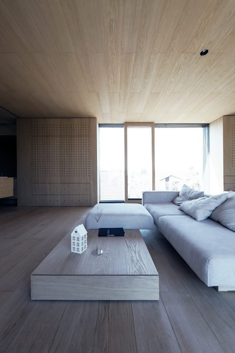 Shoebox House by OFIS Architects | Wowow Home Magazine