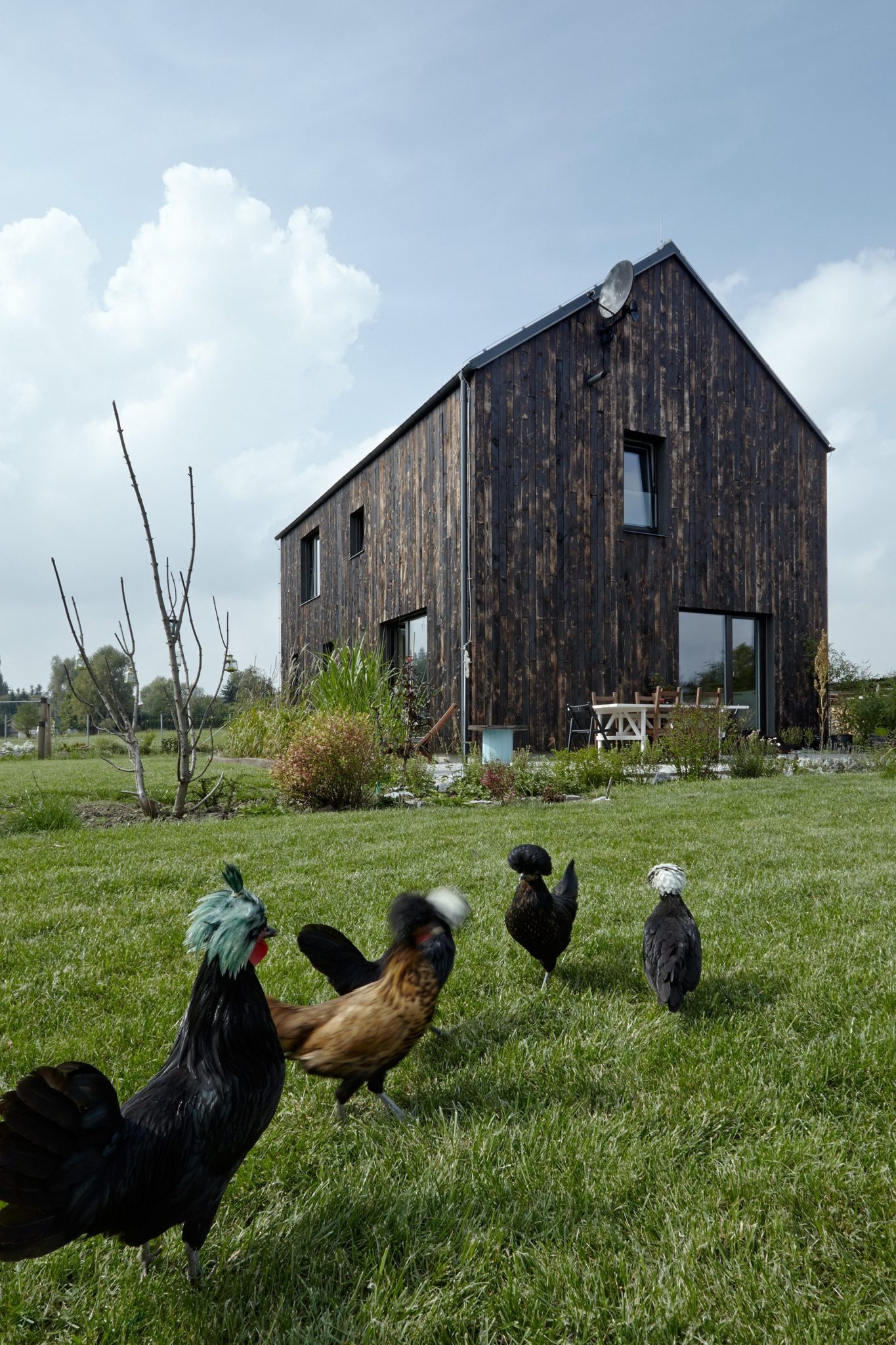 The Carbon House by Mjölk architects | Wowow Home Magazine