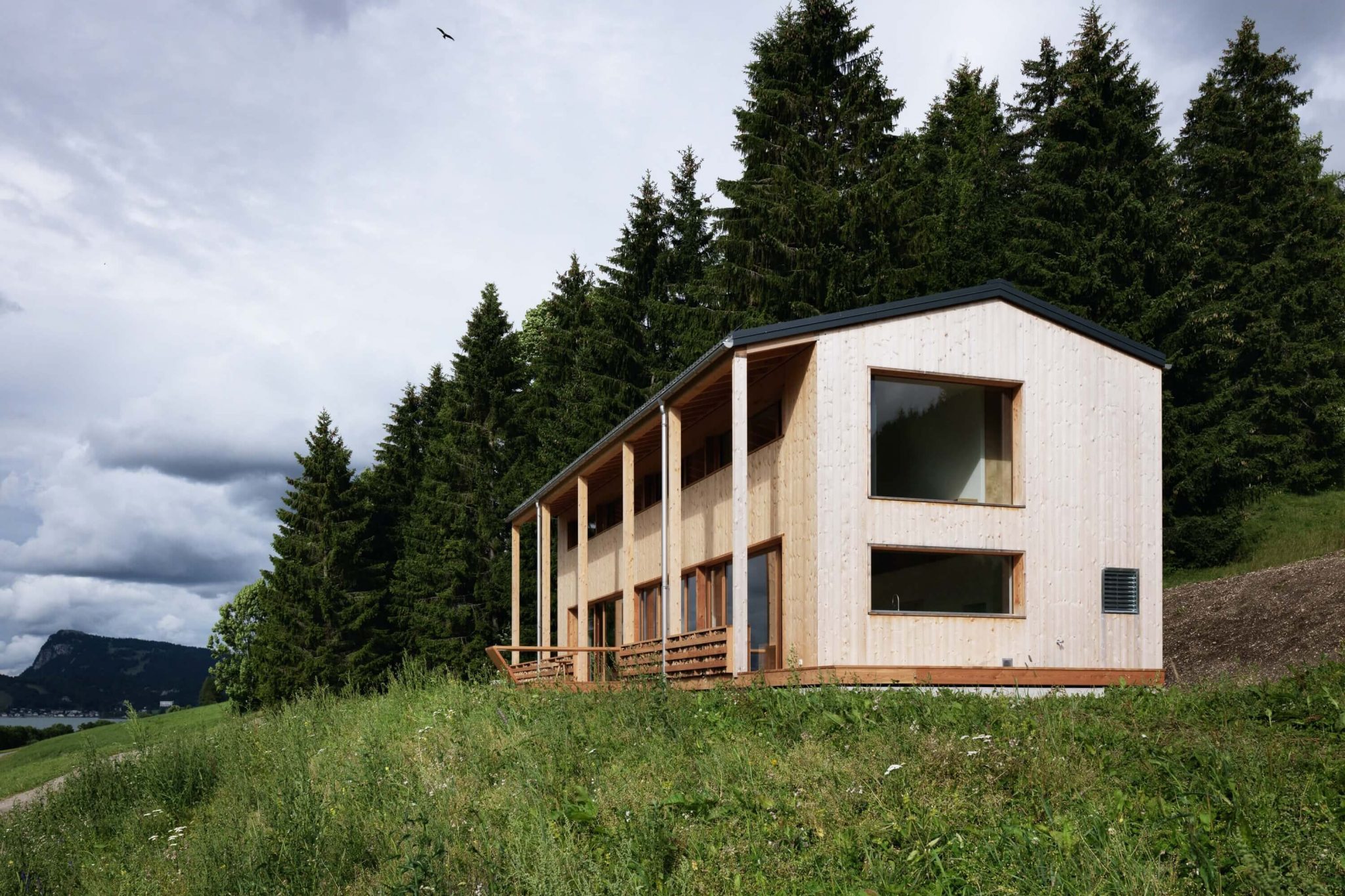 Tree House by QBO3 Arquitectos | Wowow Home Magazine