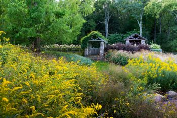 InSitu Garden by Land Morphology | Wowow Home Magazine